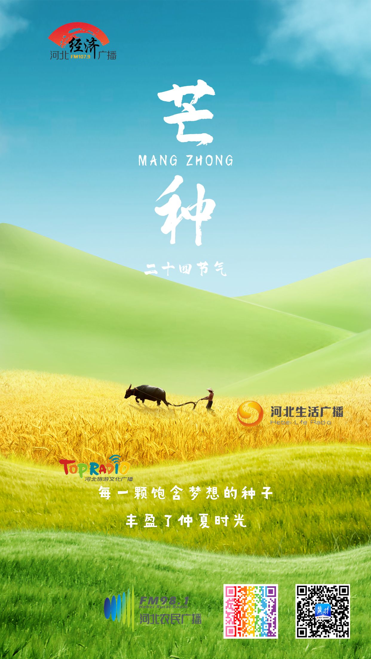 芒种丨芒有所获种有所得
