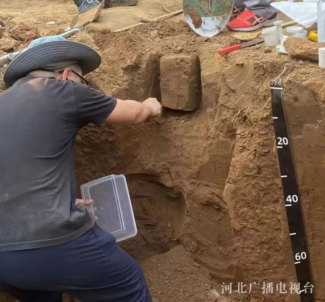 沧州：全面启动第三次土壤普查工作