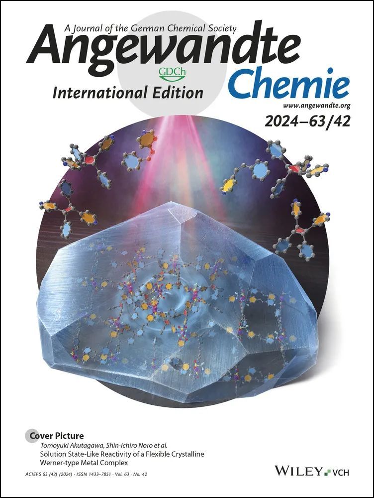 河北师范大学在“人工智能＋能源催化”领域取得重要进展_资讯_河北广播电视报官网__河北网络广播电视台