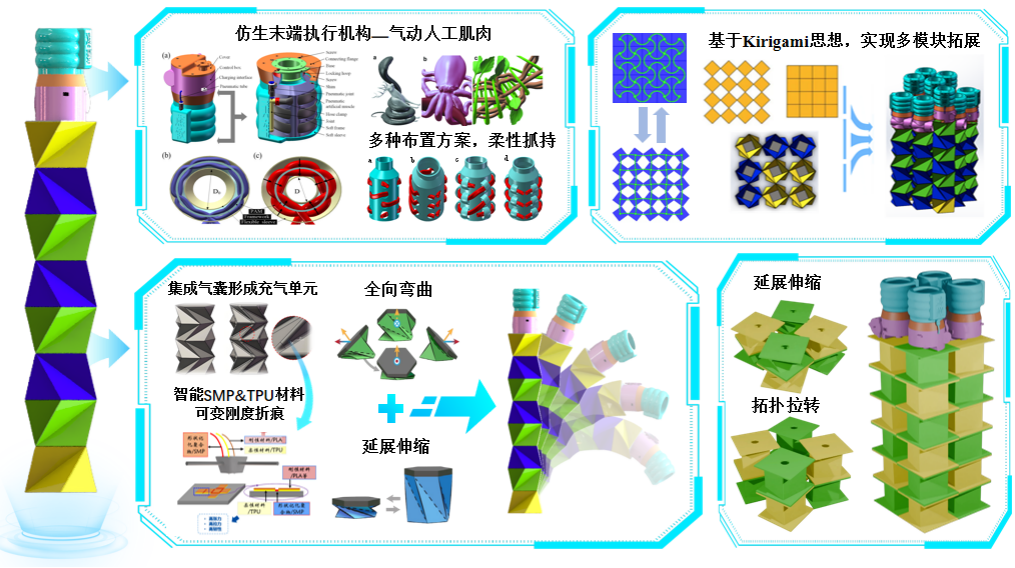 以Kresling折纸巧构多胞体，燕大学子突破柔性机器人新瓶颈！